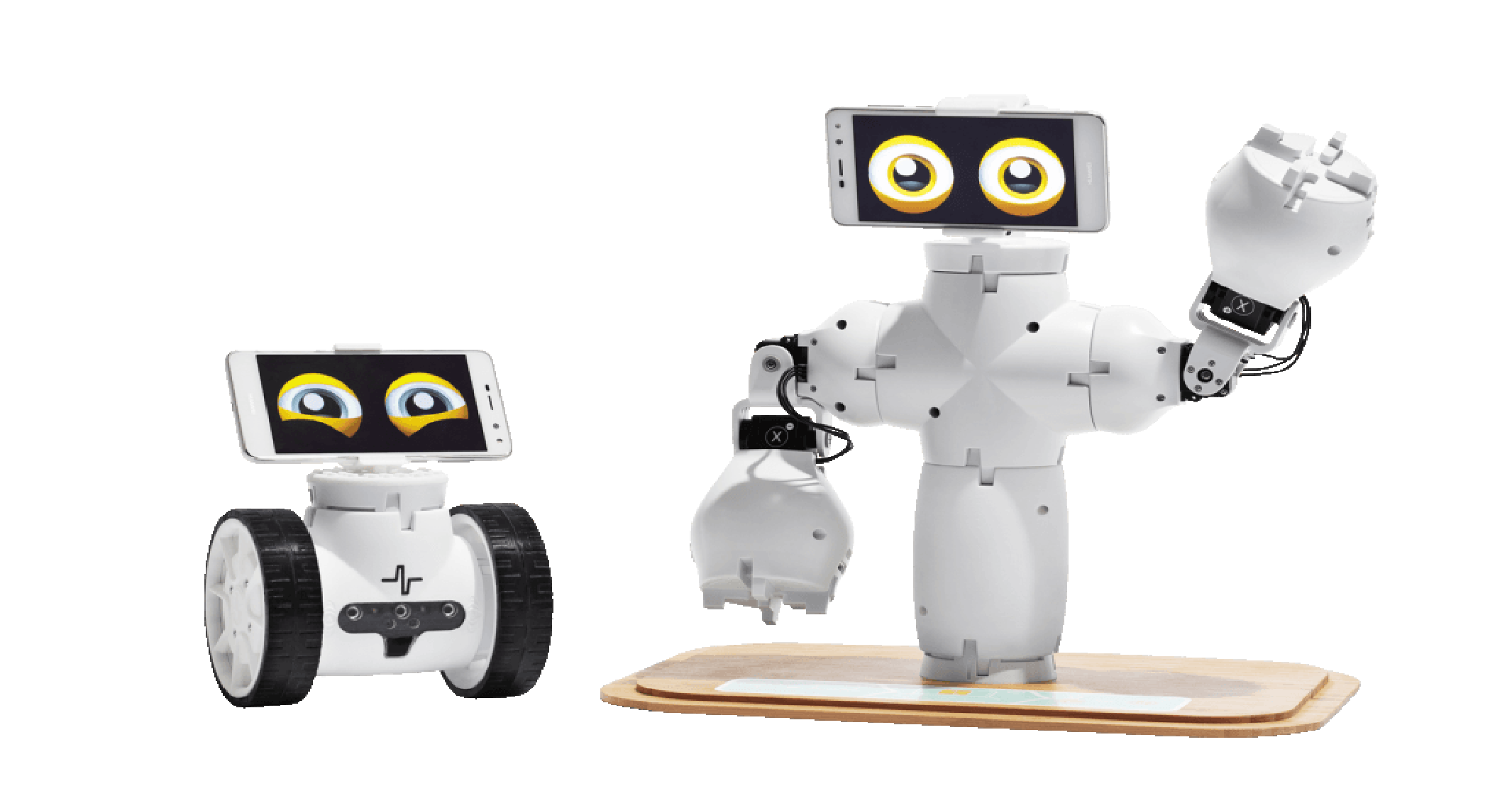 Robot Fable - Shape Robotics - MR Digital - Education